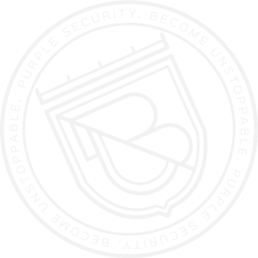 Purple Security | Ciberseguridad • Conoce nuestra empresa • Hackers